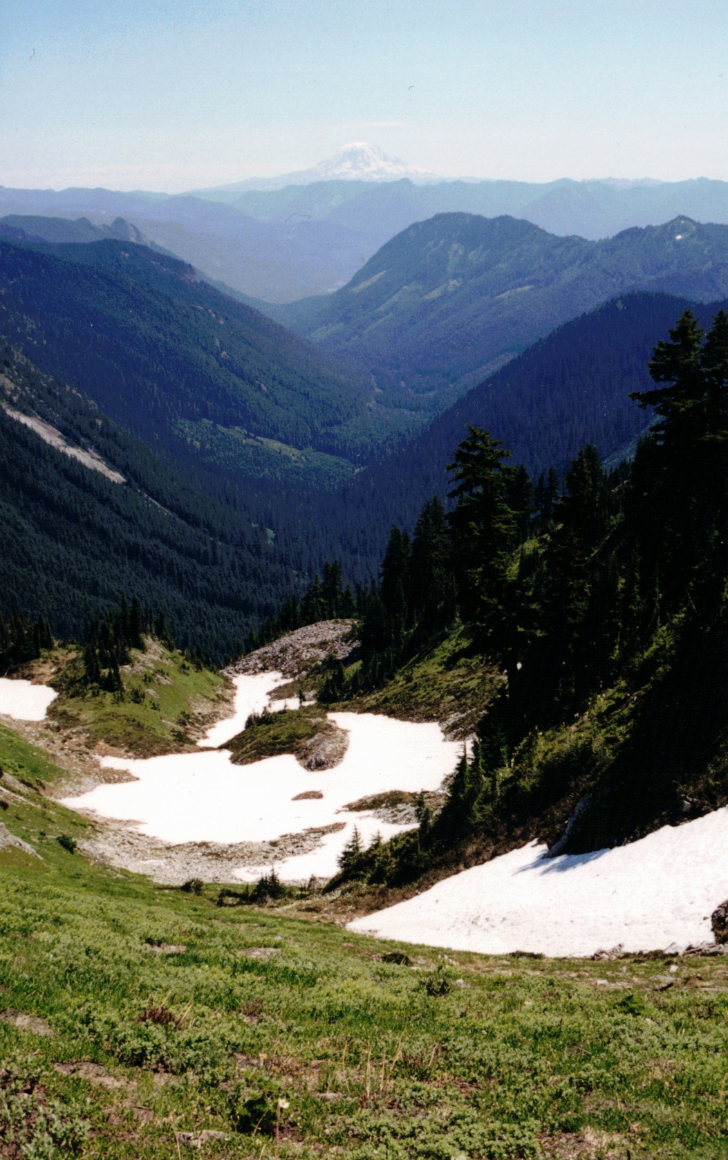 Plummer Peak - Washington - Hikes - Peak Fever