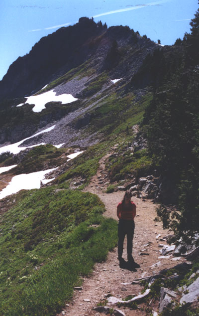 Plummer Peak - Washington - Hikes - Peak Fever