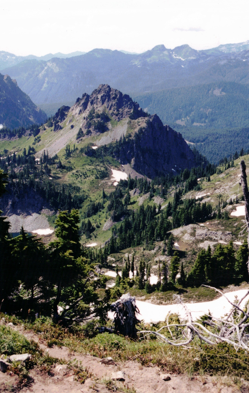 Plummer Peak - Washington - Hikes - Peak Fever