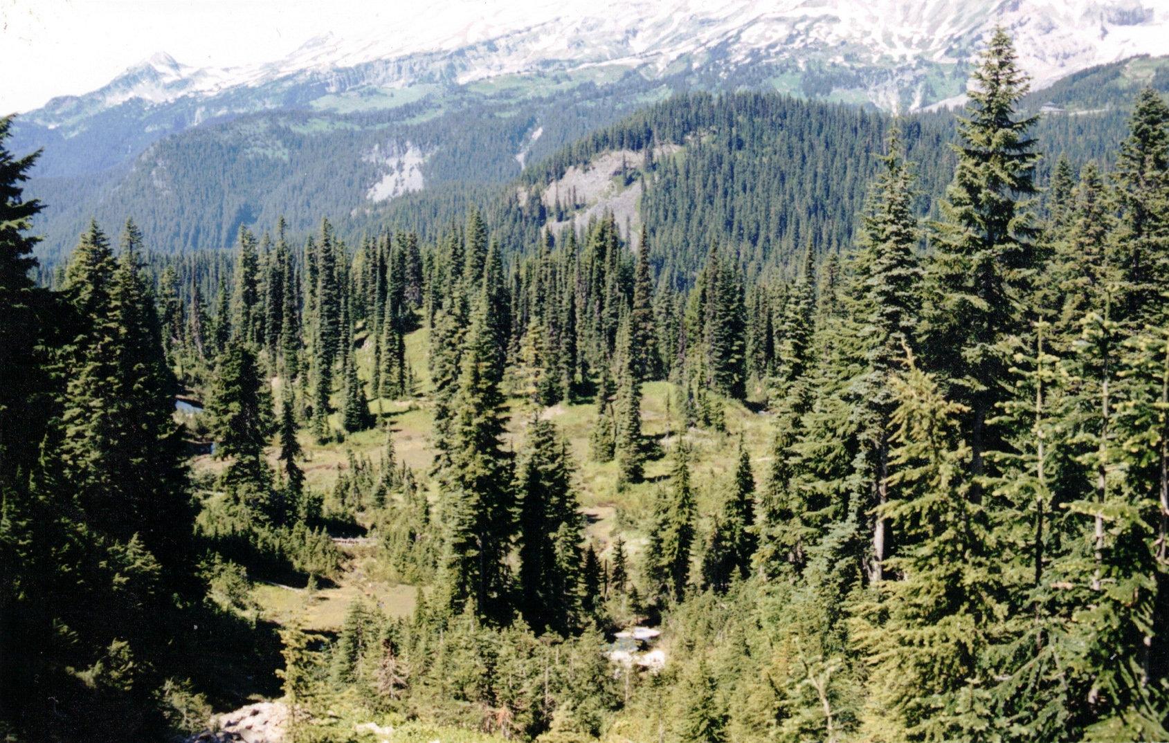 Plummer Peak - Washington - Hikes - Peak Fever